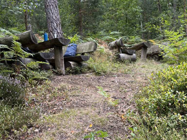 Unterwegs im Odenwald 2 | Wanderung | Komoot