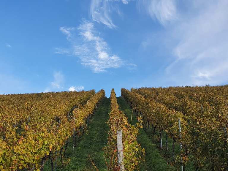 Helfenberg-Wildeck-Annasee | Wanderung | Komoot