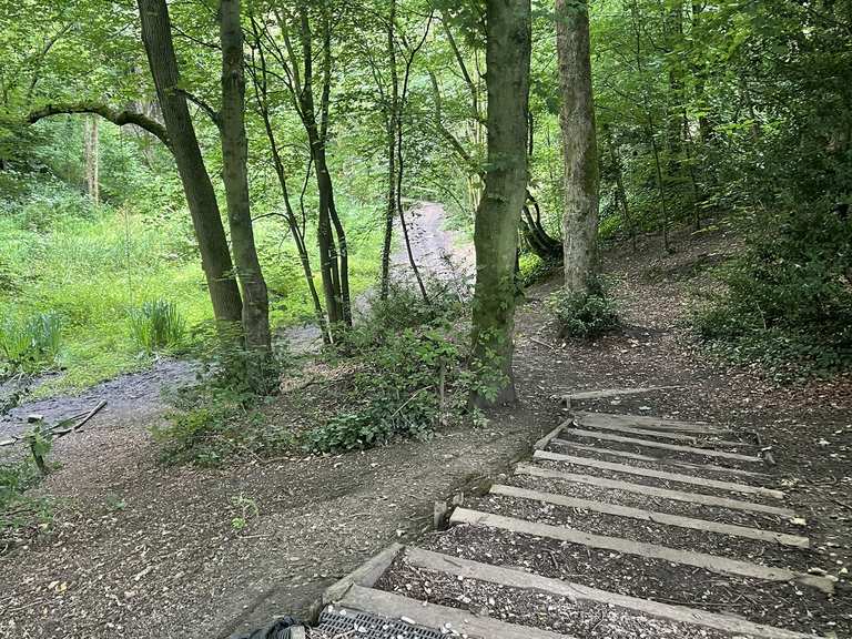 KERRIDGE HILL LOOP | hike | Komoot