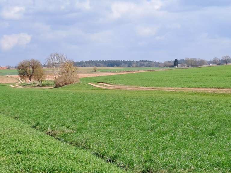 Beilngries - Kevenhüllrunde mit Dolinen | Wanderung | Komoot
