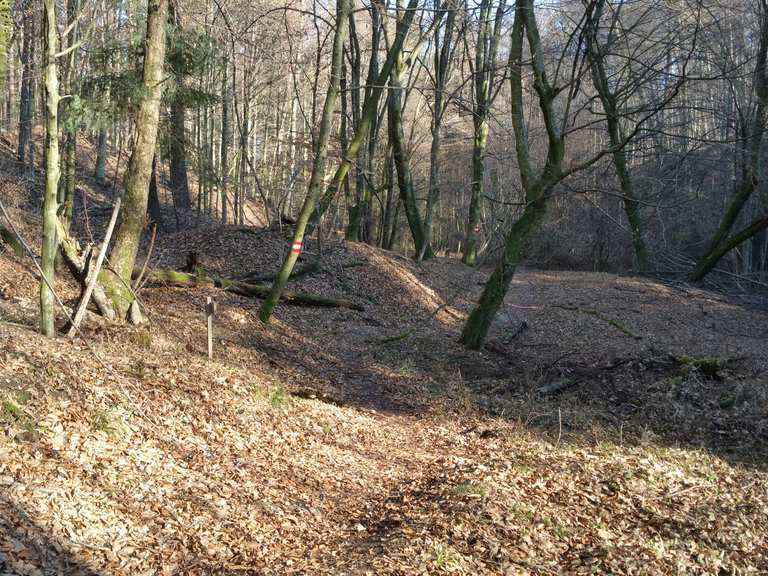 Steinbachklamm Prebuch | Wanderung | Komoot