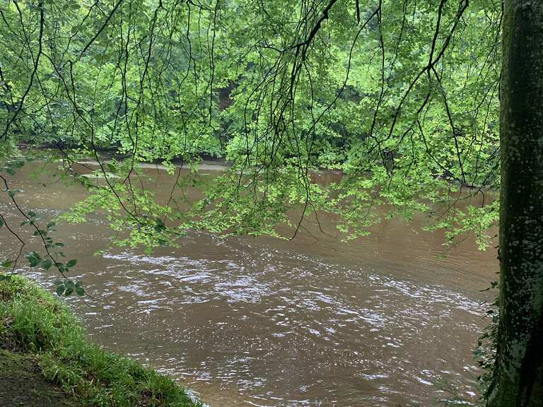 Failford-River Ayr walk | Wanderung | Komoot