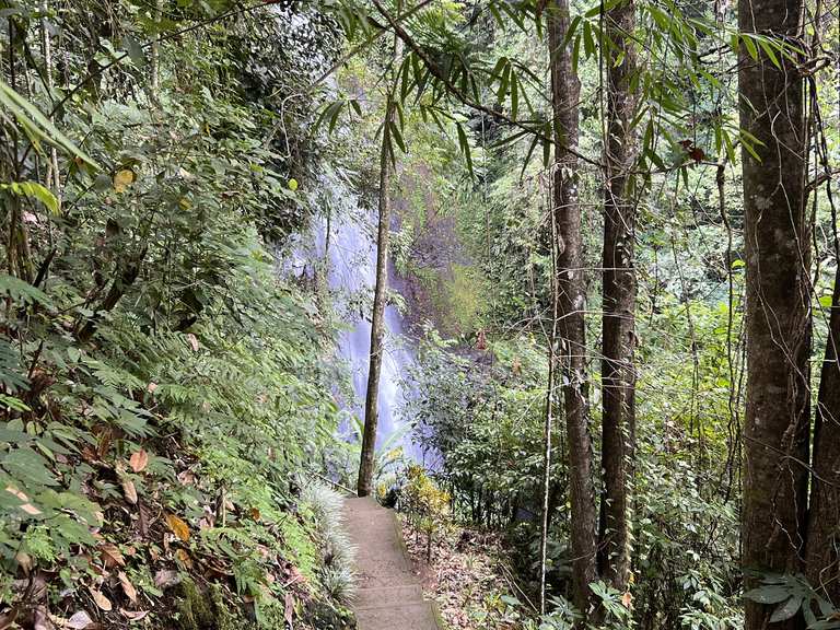 Tanah Barak Waterfall – Melanting Waterfall loop from Munduk Village ...
