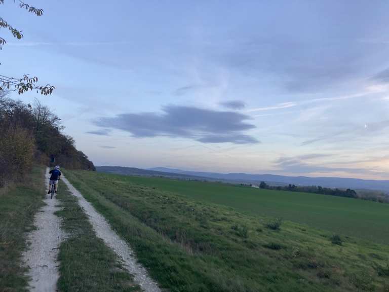 Bärenköpfe, Liebenburg, Schäferstuhl/Salzgitter und Grevel-Trail ...