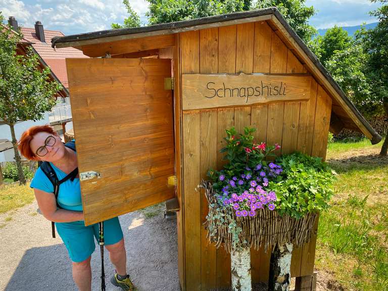 W&W Durbach (Oberkircher Brennersteig) | Wanderung | Komoot