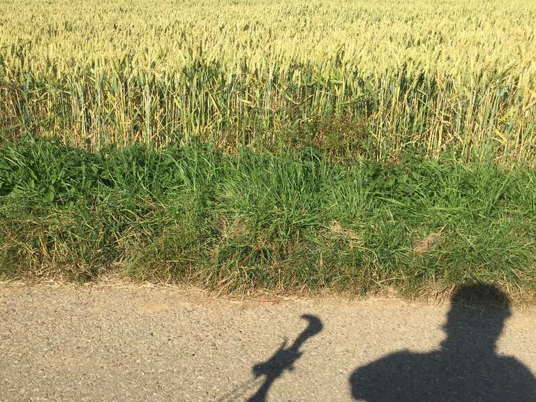 Ulm, Thalfingen, Ulm, Blautopf, Laichingen | Fahrradtour | Komoot