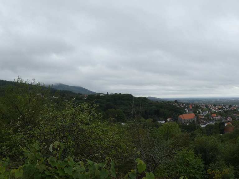 Bühlerstein, Burg- Windeck, Ab Bühl/Neusatz🇺🇦🕊️J.S. | Wanderung | Komoot