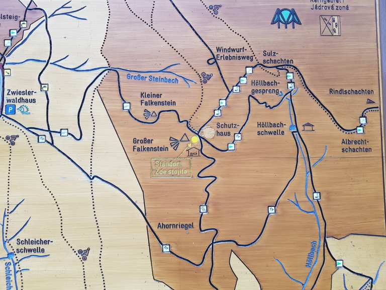 Wanderung zum Falkenstein im Bayrischen Nationalpark | Wanderung | Komoot