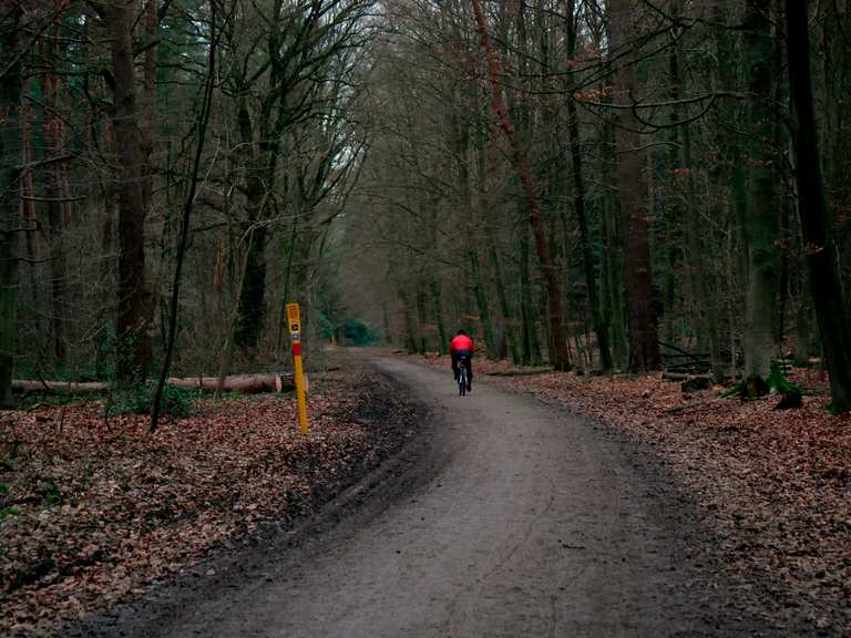 Lustheide-Tour - Alte Heide, alte Schützengräben und alte Mühlen ...