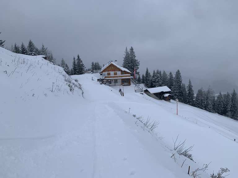 28te🎿12er Horn | Skitour | Komoot