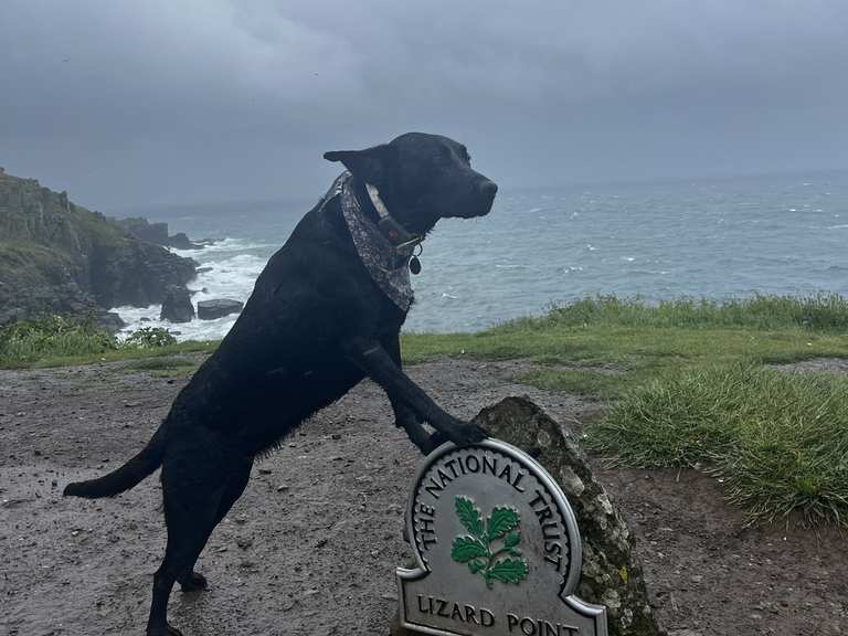 Lizard Peninsula loop and the Lizard Point — Cornwall AONB | hike | Komoot