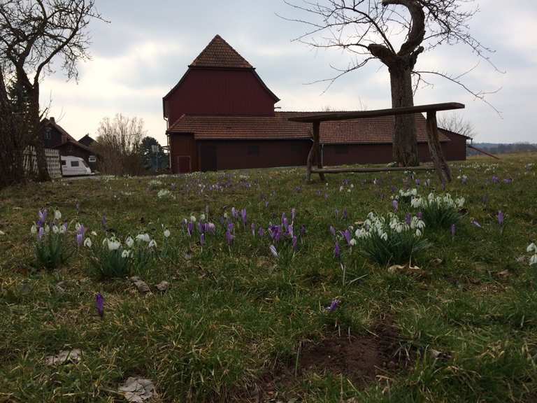 Ostschwarzwald: Wasser-, Wald- und Wiesenpfad (Calw - Bad Teinach ...