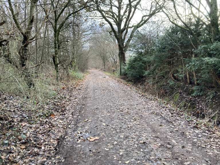 D - HH - AB IN DEN TUNNEL ODER LIEBER IN DAS TAL ? - 14 KM | Wanderung ...