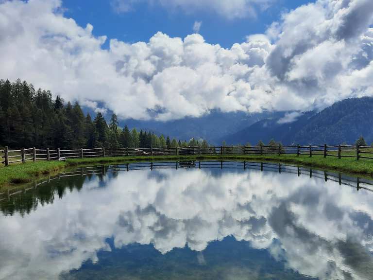 Zum Aussichtspunkt Völsegg und zum Wuhn-Weiher | Wanderung | Komoot