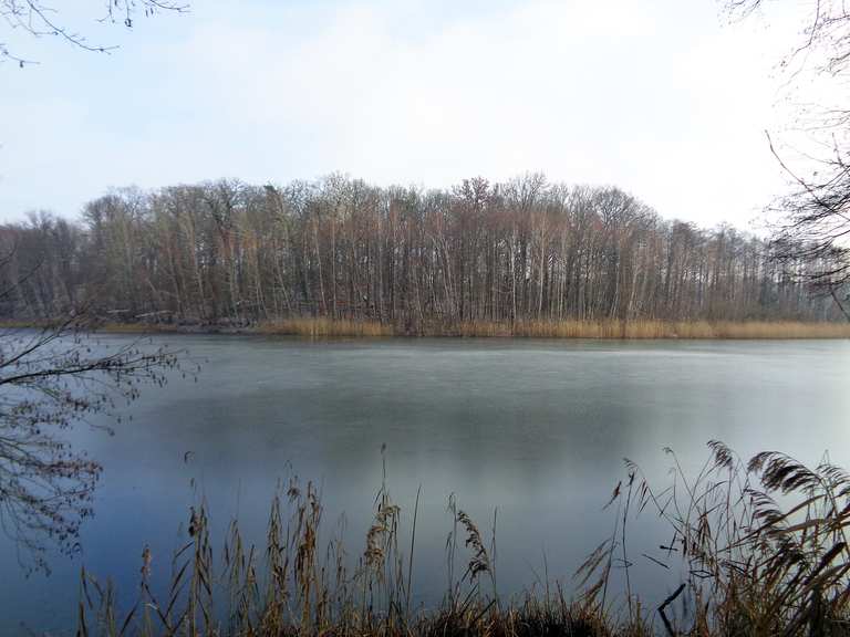Löwenberg-Runde: Großer Lankesee, Schlosspark Liebenberg, NSG Moddersee ...