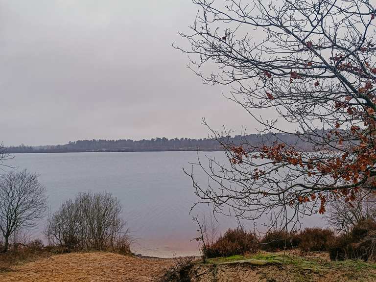 Maasduinen - Reindersmeer und Nationalpark | Wanderung | Komoot