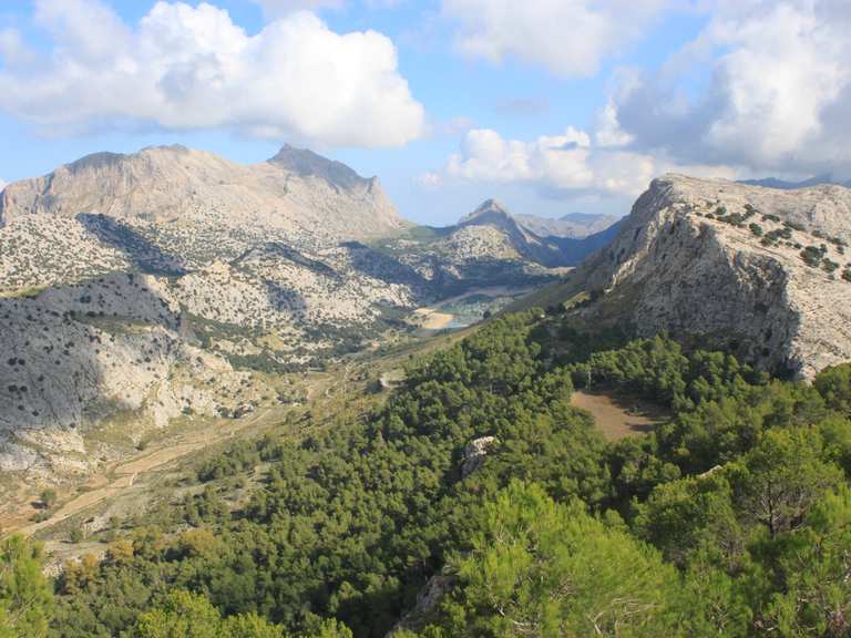 Embassament de Cuber - Col de l'Ofre - Puig de l'Ofre - Puig de na ...
