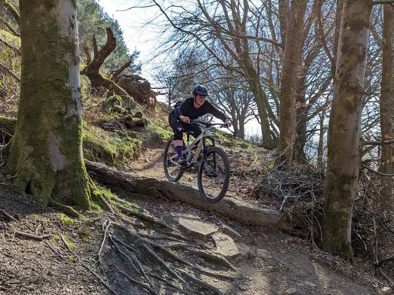 Cwmcarn Trail Centre — divine singletrack in the valleys of South Wales ...