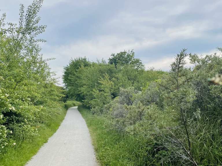 Pan van Persijn naar Duinen Berkheide | hike | Komoot