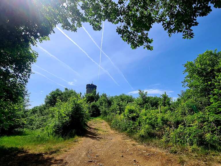 Mädelsmontag Burg Windeck-Hirschkopfturm-Wachenburg...ab Weinheim🚶🏽‍♀️🚶 ...