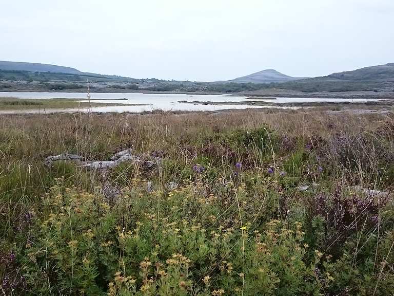 Burren Mullaghmore Loop | hike | Komoot