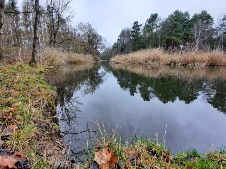 Alt Wallmoden: Spring, Innerste, Neile und Kirschensoog | Wanderung ...