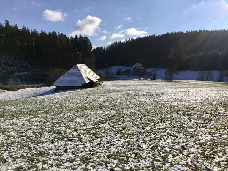 Höhehäuser - Biereck - Heidburg | Wanderung | Komoot