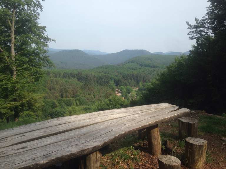 Schwarzer Fuchs (Forsthaus Annweiler) - Kirschfels - Eiterberg 12.05. ...