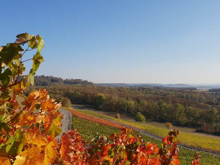 Steigerwald-Panoramaweg in 6 Etappen | Komoot