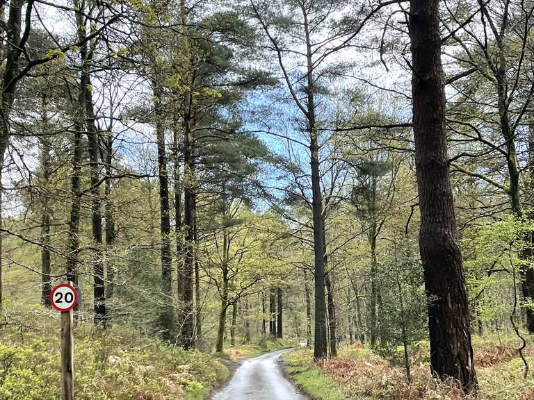 Surrey Hills - Peaslake - Box Hill | road ride | Komoot