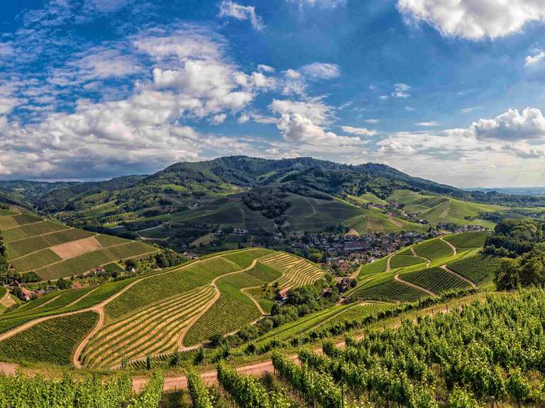 Durbacher Genießerpfade - Premiumwandern im Weinparadies | Komoot