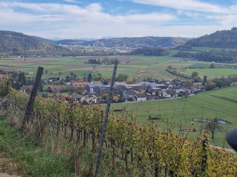 🚵‍♀️ Sa 281023 EMTB 🚵‍♀️ Wü, hoch zum Besserstein, zum Steinbruch ...