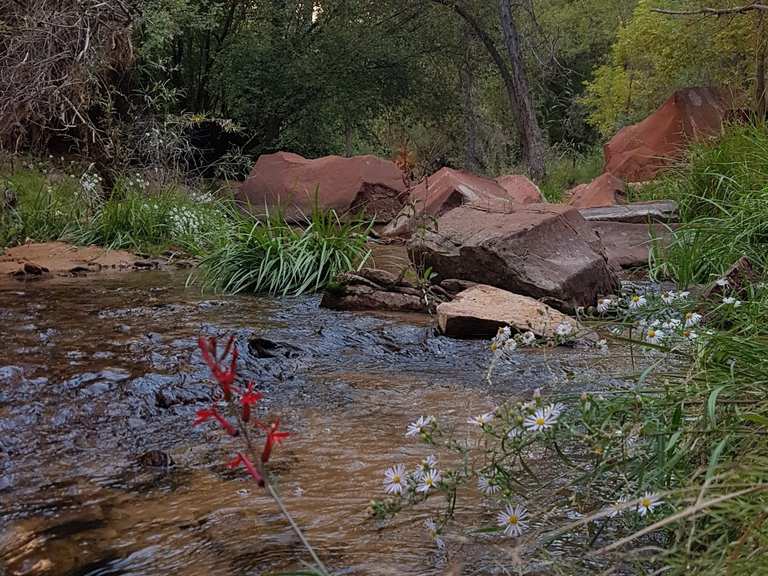 Zion NP Left Fork Trailhead to Subway | hike | Komoot