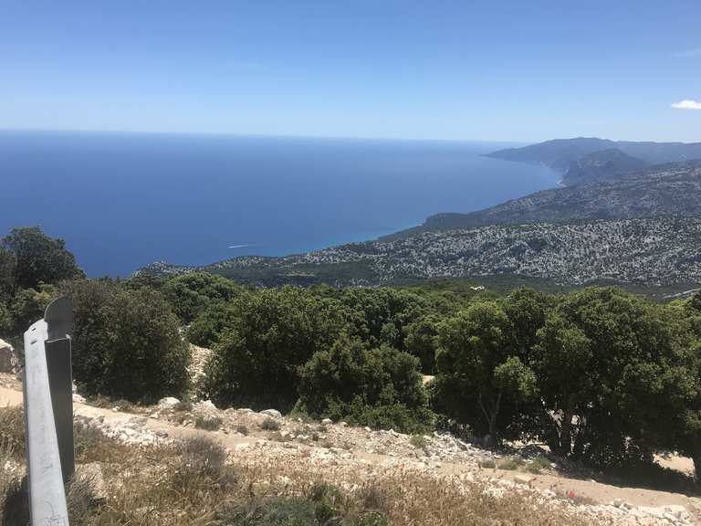 Monte Tului | Mountainbike-Tour | Komoot