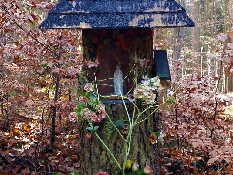 Kleine Sonntagswanderung zur Maria im Wald | Wanderung | Komoot