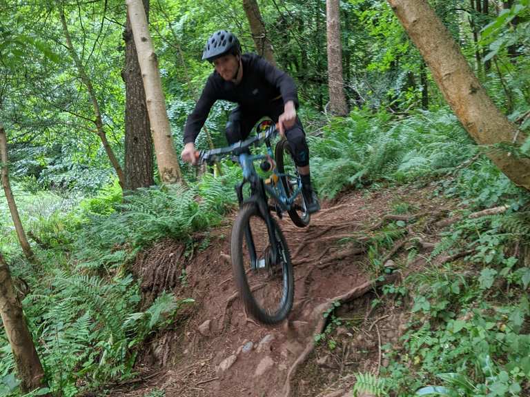 Rowberrow, first trail ride on the 5010 with dead legs | road ride | Komoot