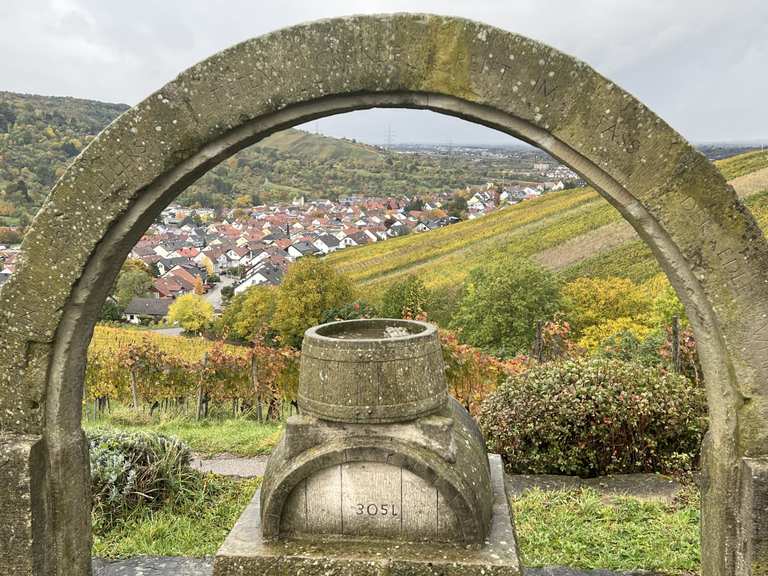 Remstal 🍁🍇🌧️ Weinberge zwischen Beutelsbach und Schnait | Wanderung ...