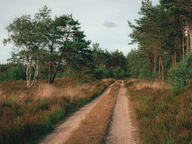 GREEN DIVIDE by Erwin Sikkens | Komoot