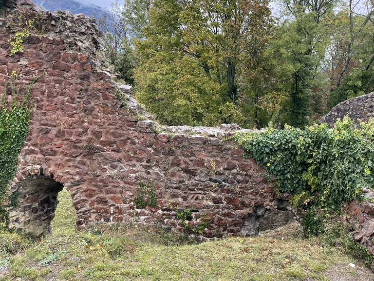 Thann - Schlossberg - Rehbrunnel - Croix du Rangen | randonnée pédestre ...