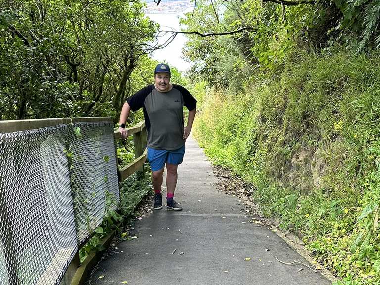 Aotearoa: Wellington Southern Walkway (Mt Victoria) | hike | Komoot
