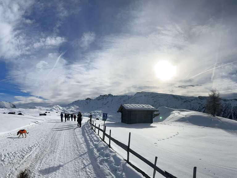 Seiser Alm: Compatsch - Spitzbühl - Panorama-Alm | Wanderung | Komoot
