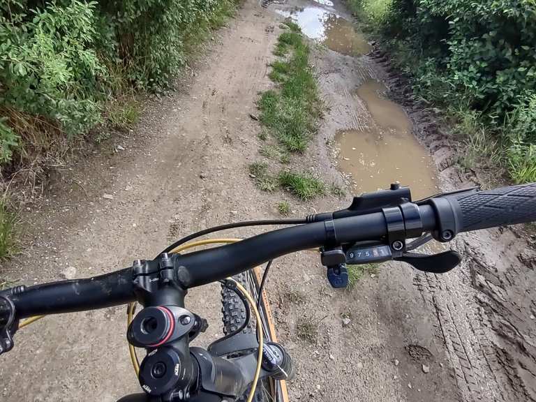 Mountainbike-auf gewohnten Wegen | Mountainbike-Tour | Komoot