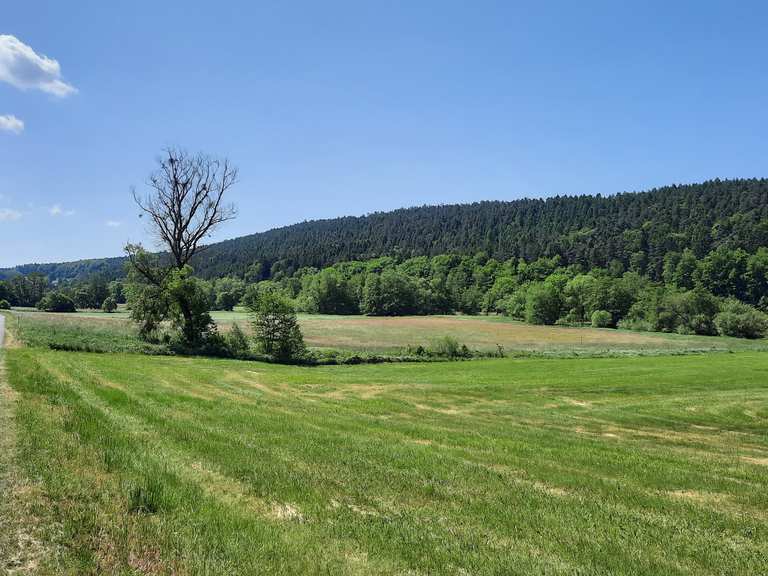 Fulda: Zwischen Fulda und Gersfeld Mo29.05.2023 | Fahrradtour | Komoot