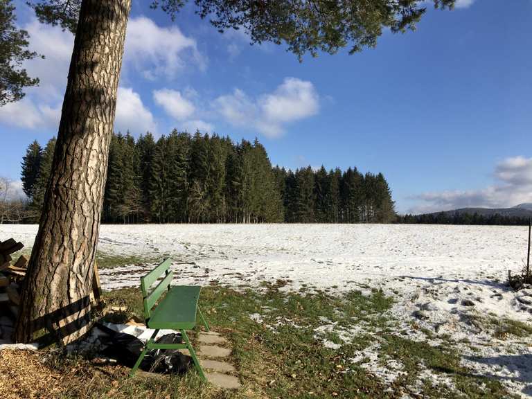Höhehäuser - Biereck - Heidburg | Wanderung | Komoot