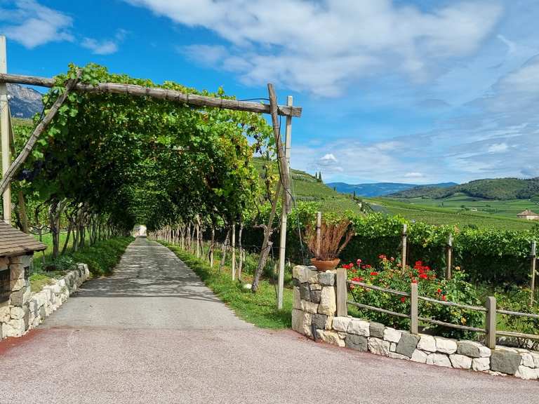 Blick auf den Kalterer See – Durch die Rastenbachklamm und Altenburg ...