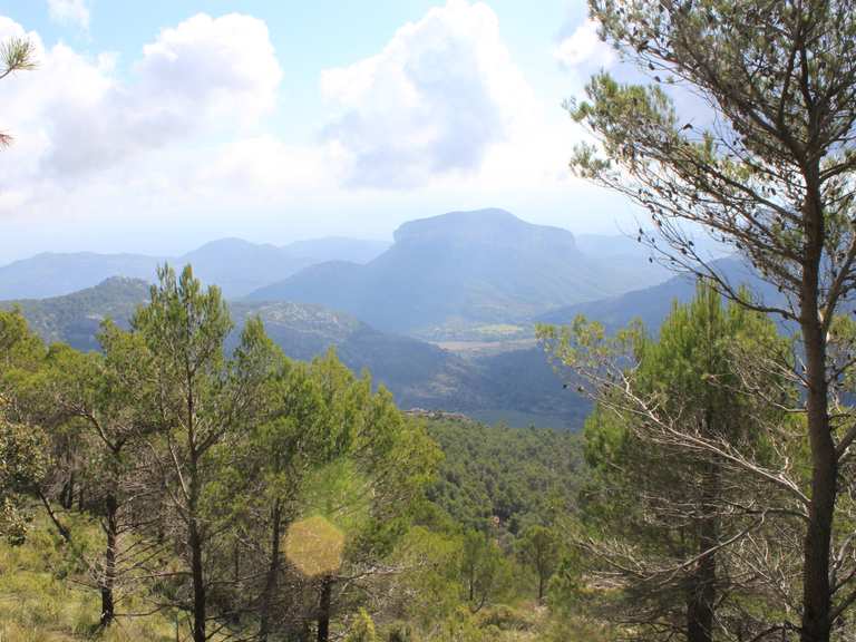 Embassament de Cuber - Col de l'Ofre - Puig de l'Ofre - Puig de na ...