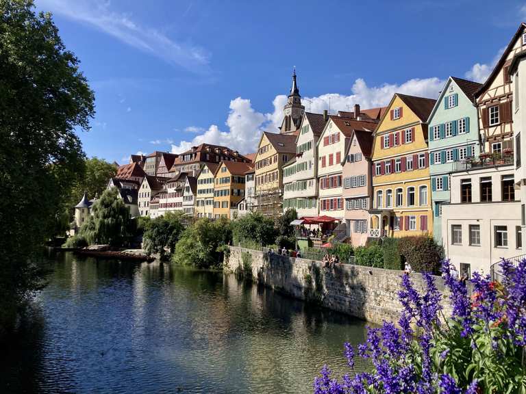 Tü-Hagelloch Rottenburg NECKAR STARZEL Bieringen Frommenhausen🏰🦆🐟🐎🦢 ...