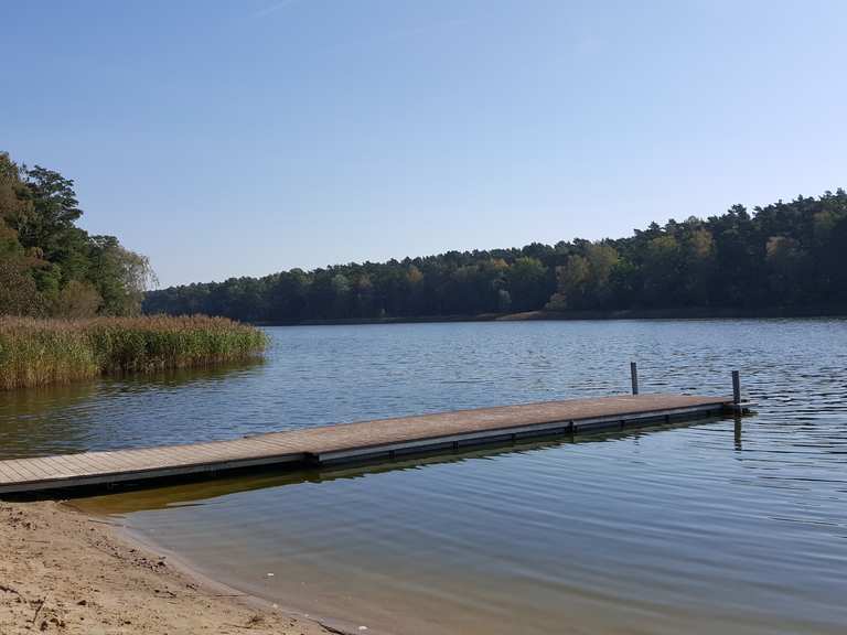 Von Sommerfeld durch die Rüthnicker Heide nach Löwenberg (RB-Beetz ...