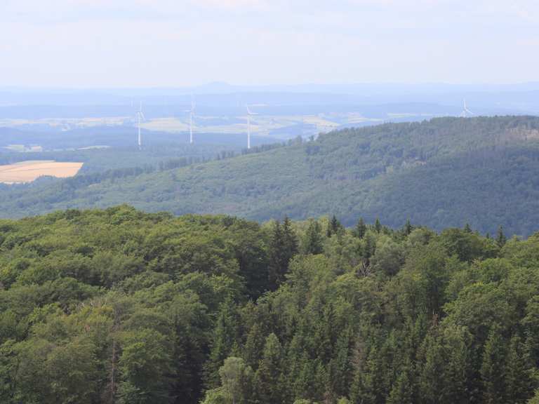 Sebbeterode - Hundskopf - Wüstegarten - Densberg | Wanderung | Komoot