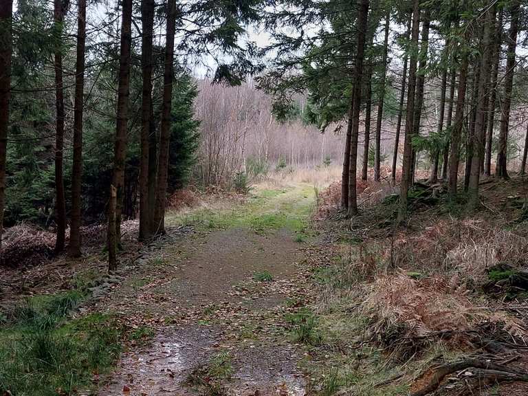 Basse-Bodeux - Brume - Trois-Ponts | hike | Komoot